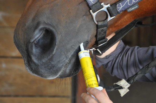 administrer un seringue de stress regul pour calmer le cheval stressé ...